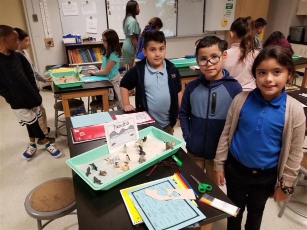 Science / Elementary Science Science / Elementary Science